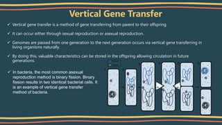 Gene Transfer.pptx