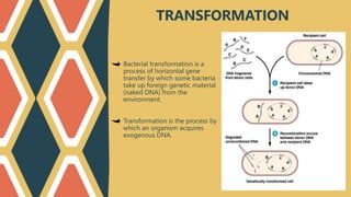 Gene Transfer.pptx