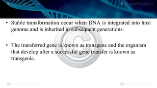 Gene transfer (2) | PPTX