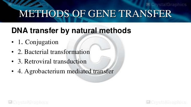 Gene transfer (2)