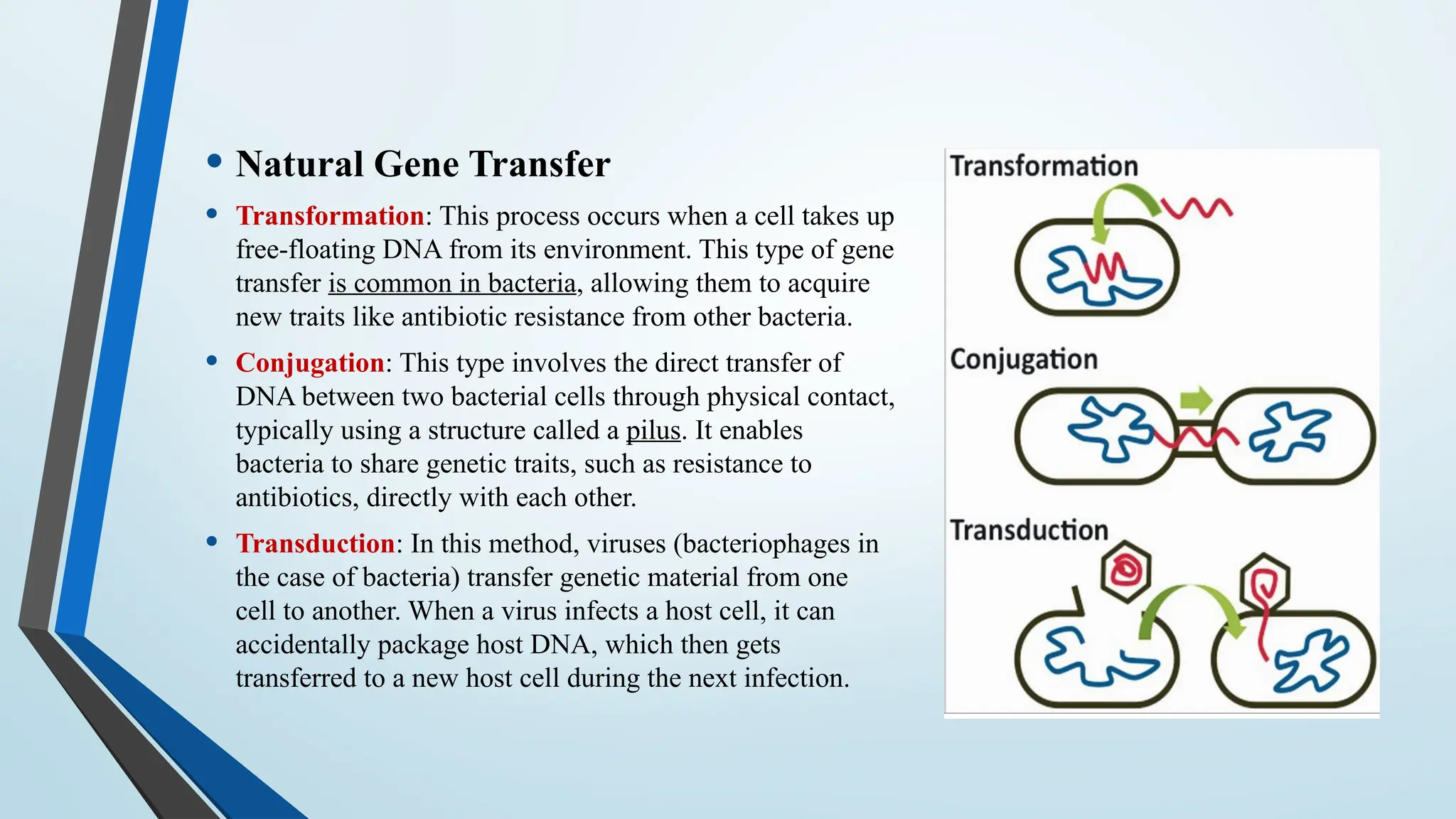 TECHNIQUES OF GENE TRANSFER AND GENE TRANSFER METHODS | PPTX