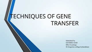 TECHNIQUES OF GENE TRANSFER AND GENE TRANSFER METHODS | PPT