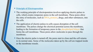 TECHNIQUES OF GENE TRANSFER AND GENE TRANSFER METHODS | PPT