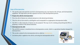 TECHNIQUES OF GENE TRANSFER AND GENE TRANSFER METHODS | PPT