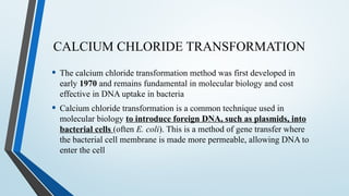 TECHNIQUES OF GENE TRANSFER AND GENE TRANSFER METHODS | PPT