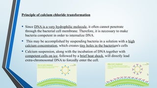 TECHNIQUES OF GENE TRANSFER AND GENE TRANSFER METHODS | PPT