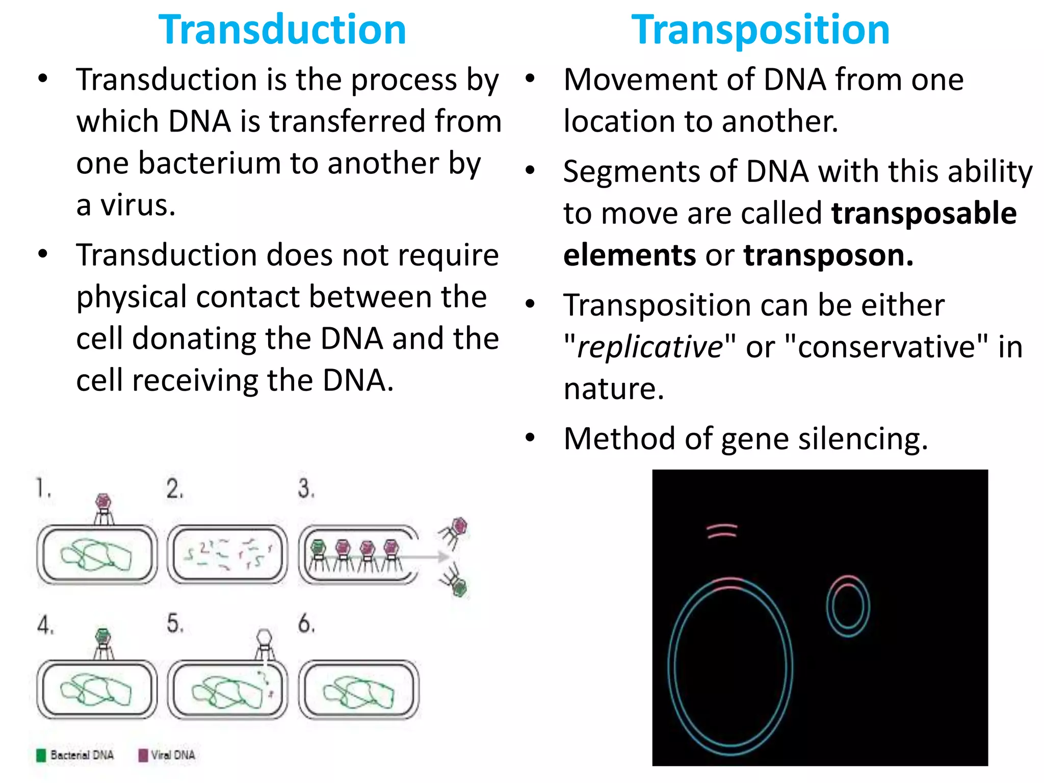 Gene transfer and biosafety issues | PPTX | Gardening | Home & Garden