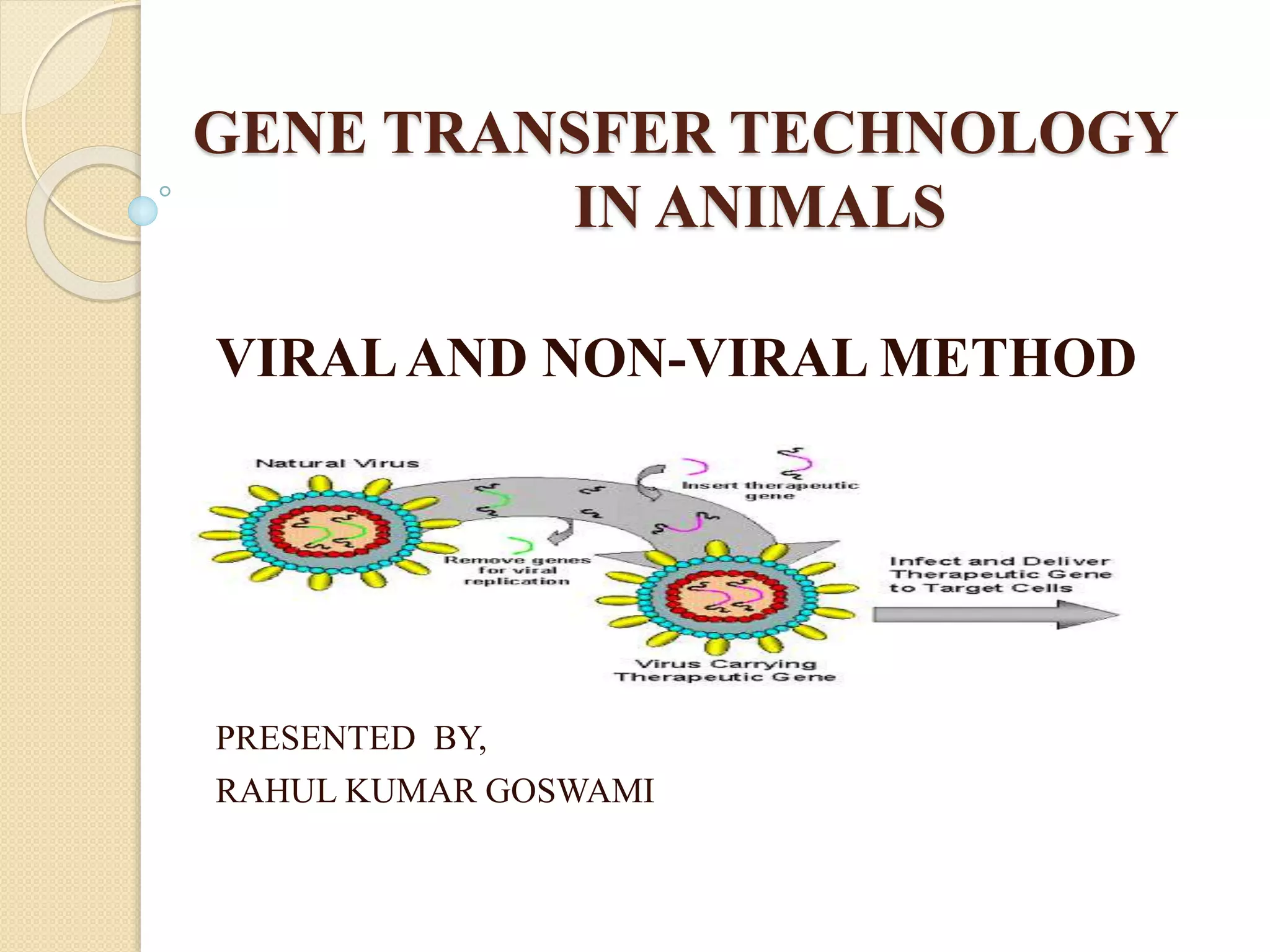 Gene transfer in animals | PPTX