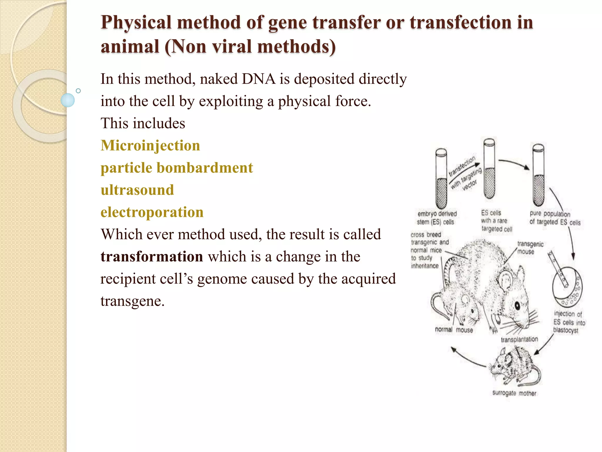 Gene transfer in animals | PPTX