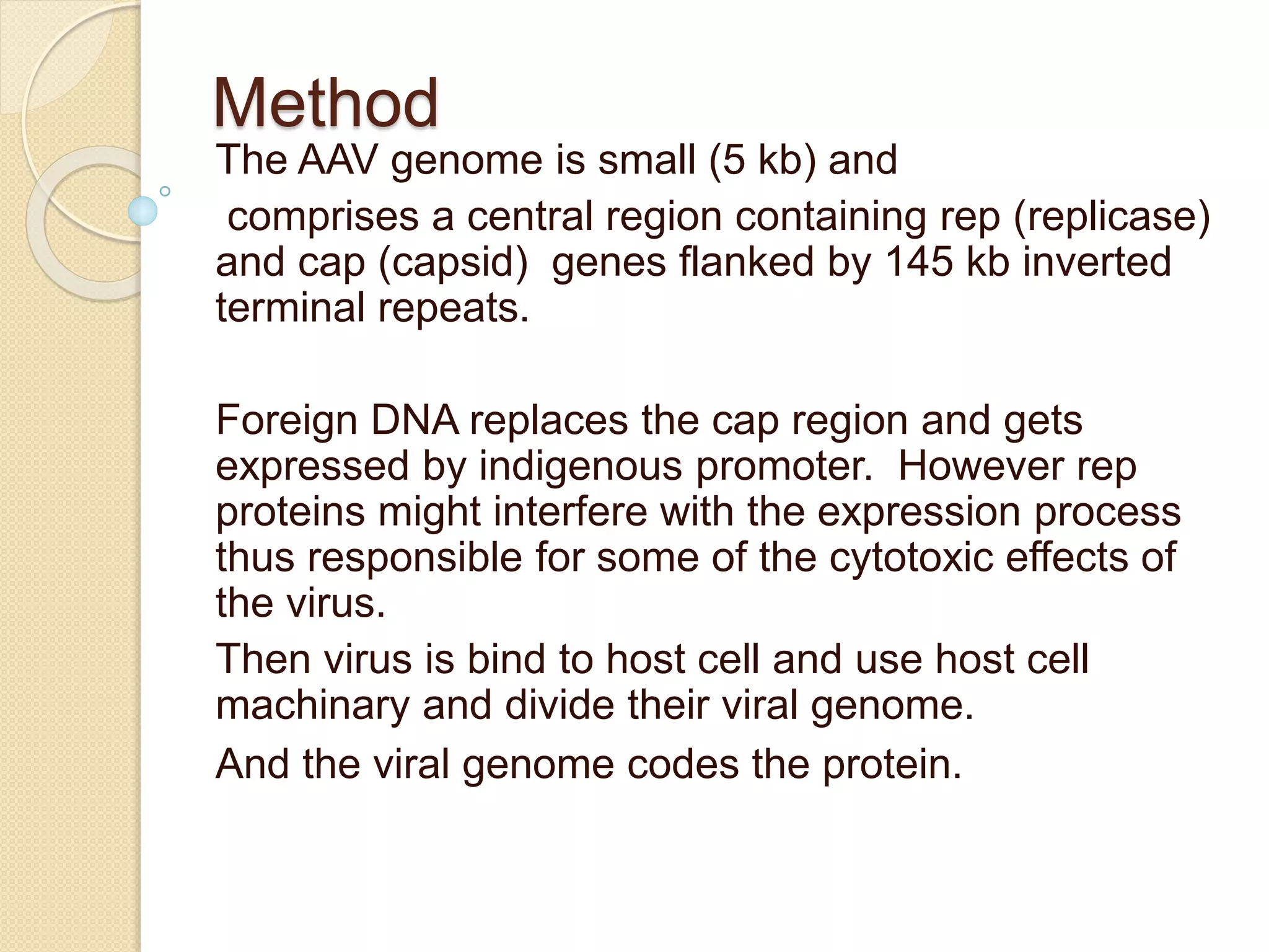 Gene transfer in animals | PPTX