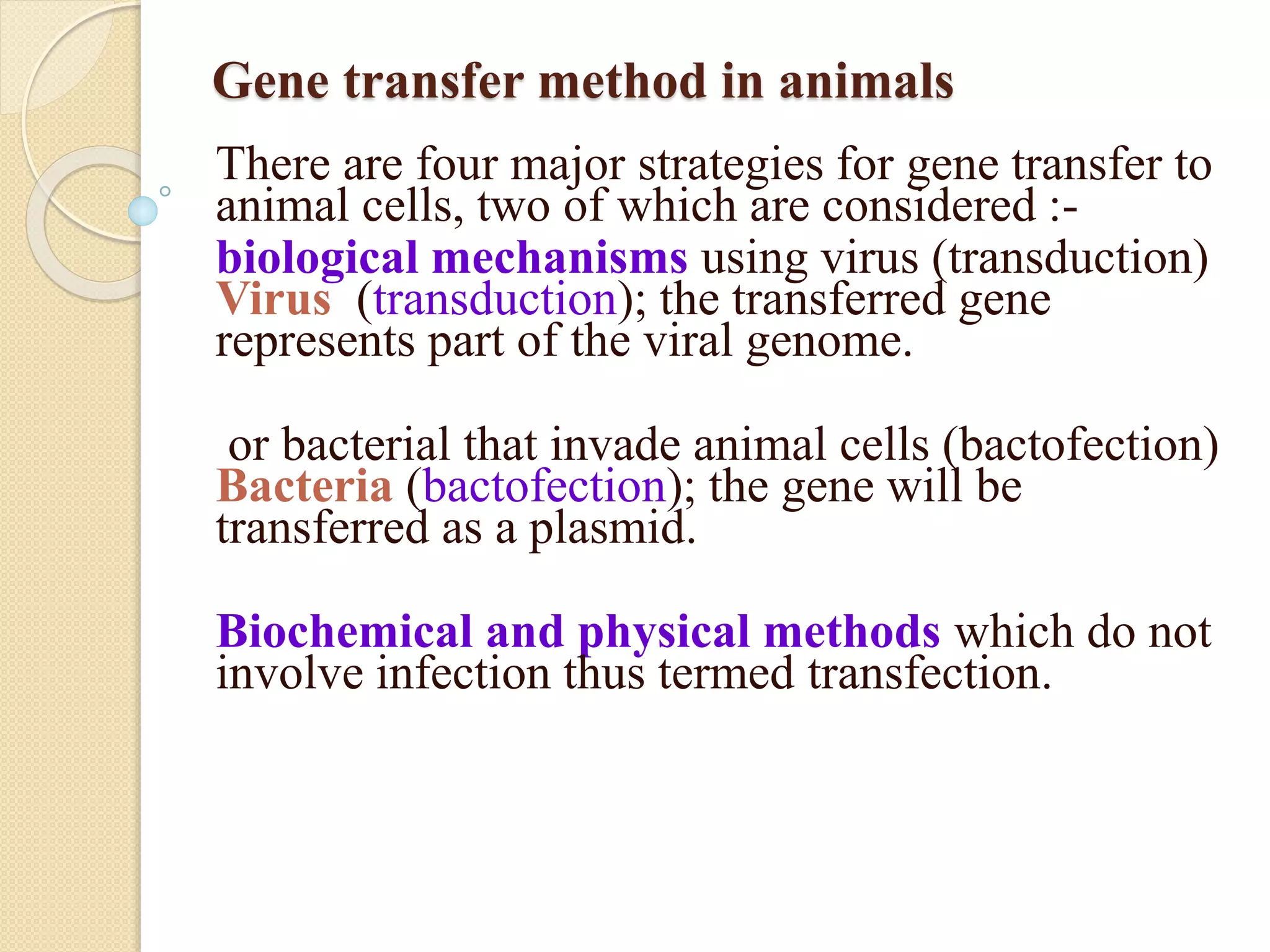 Gene transfer in animals | PPTX