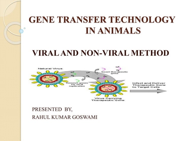 Gene transfer in animals | PPTX | Biological Sciences | Science