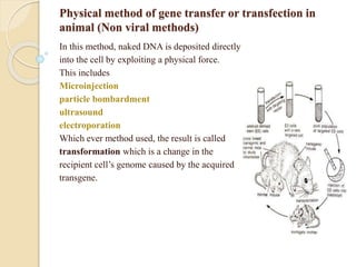 Gene transfer in animals | PPTX