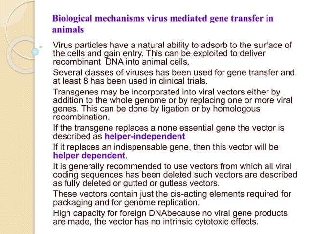 Gene transfer in animals | PPTX | Biological Sciences | Science
