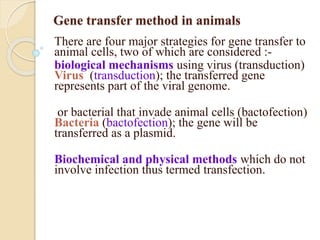 Gene transfer in animals | PPTX | Biological Sciences | Science