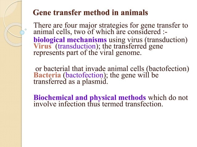 Gene transfer in animals | PPTX | Biological Sciences | Science