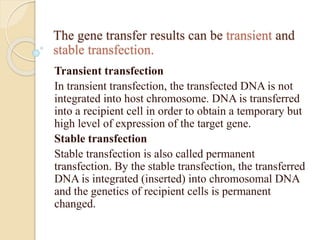 Gene transfer in animals | PPTX