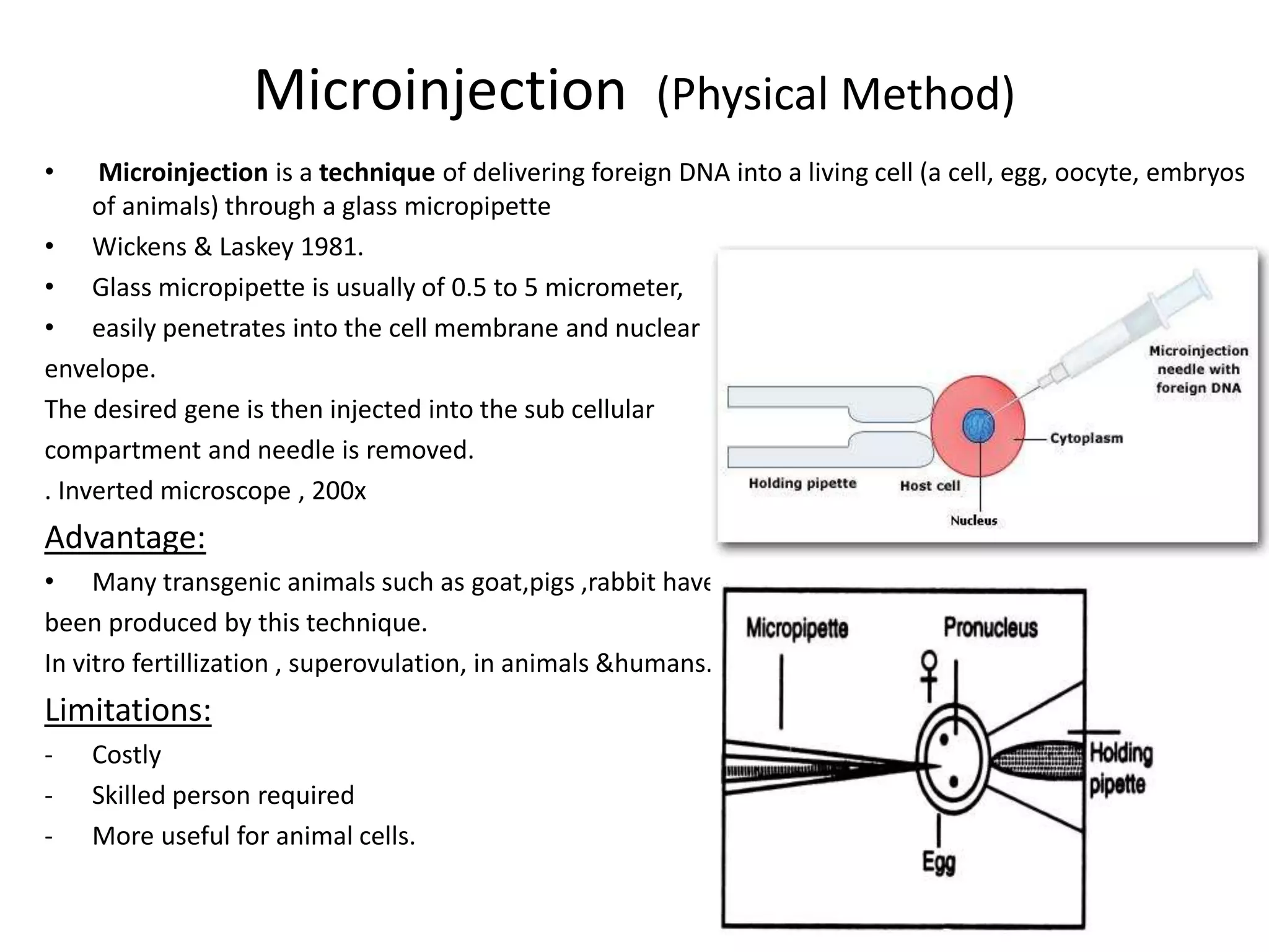 GENE TRANSFER METHODS IN ANIMALS | PPTX