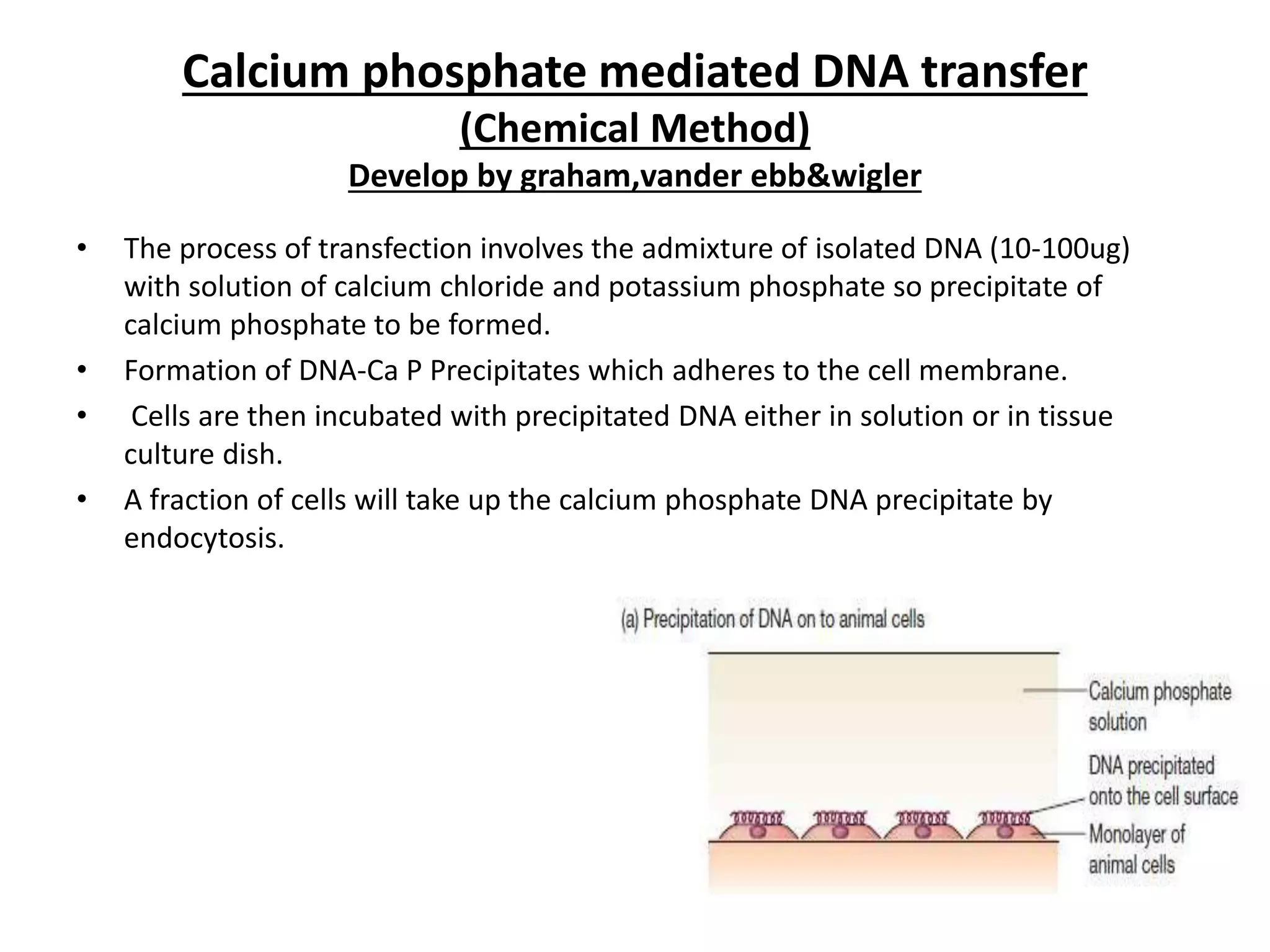 GENE TRANSFER METHODS IN ANIMALS | PPTX