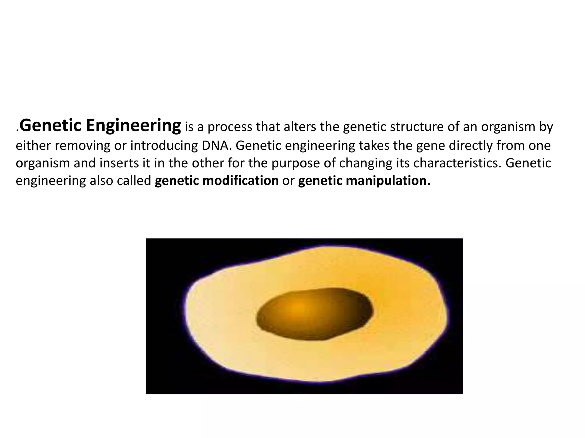 GENE TRANSFER METHODS IN ANIMALS | PPTX