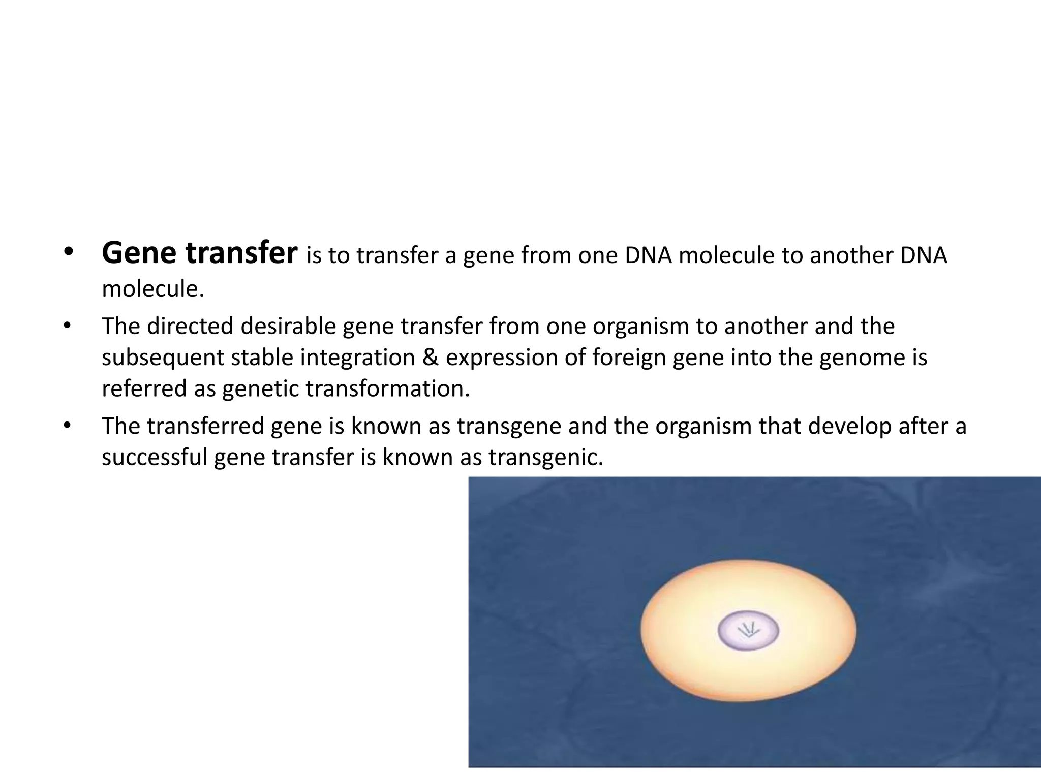 GENE TRANSFER METHODS IN ANIMALS | PPTX