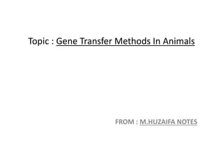 GENE TRANSFER METHODS IN ANIMALS | PPTX