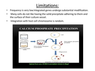 GENE TRANSFER METHODS IN ANIMALS | PPTX