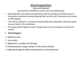GENE TRANSFER METHODS IN ANIMALS | PPTX