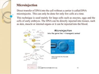 Gene transfer in animals.pptx