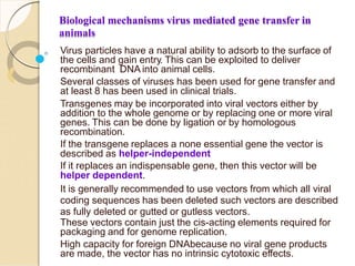 Gene transfer in animals.pptx