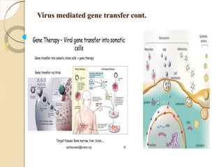 Gene transfer in animals.pptx