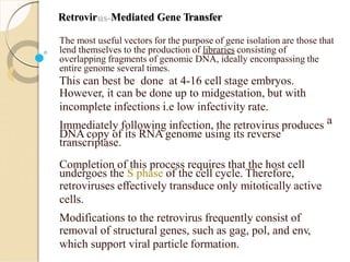 Gene transfer in animals.pptx