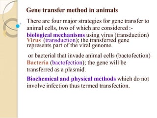 Gene transfer in animals.pptx