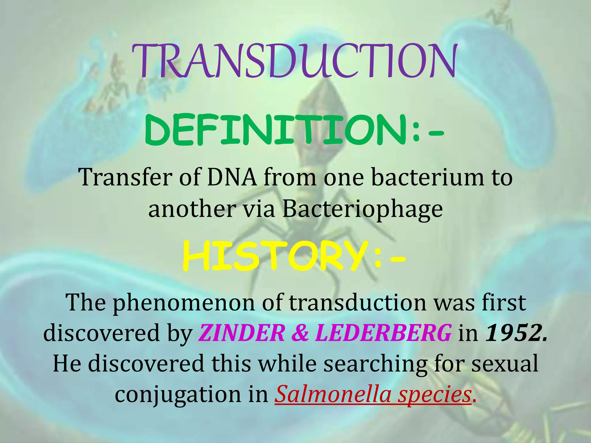 Gene transfer in bacteria | PPTX