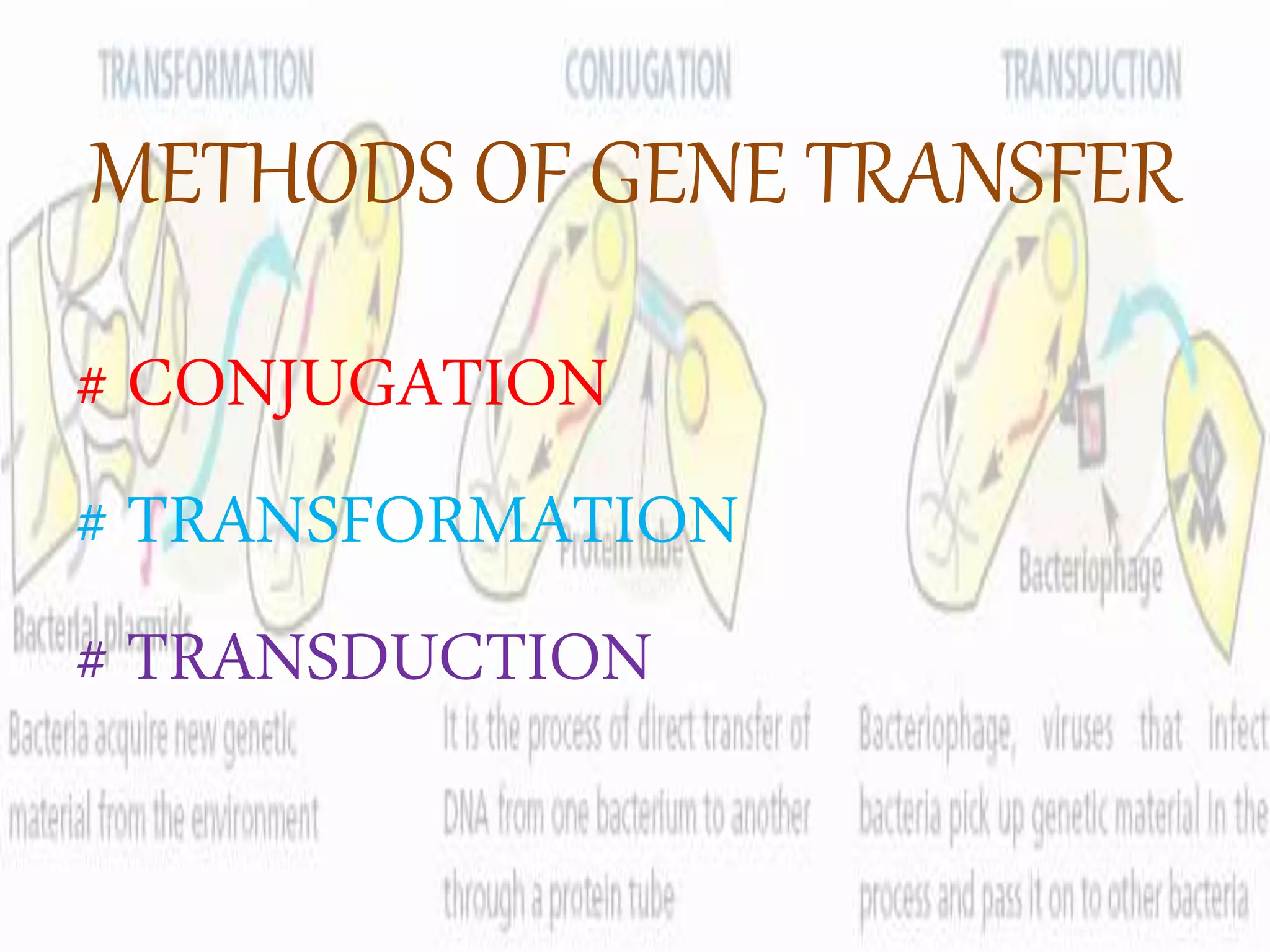 Gene transfer in bacteria | PPTX