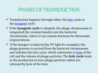 Gene transfer in bacteria | PPTX