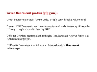 Gene transfer in plant-2.pptx