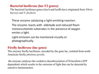 Gene transfer in plant-2.pptx