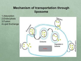 Gene transfer in plants | PPTX