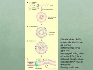 Gene transfer in plants | PPTX