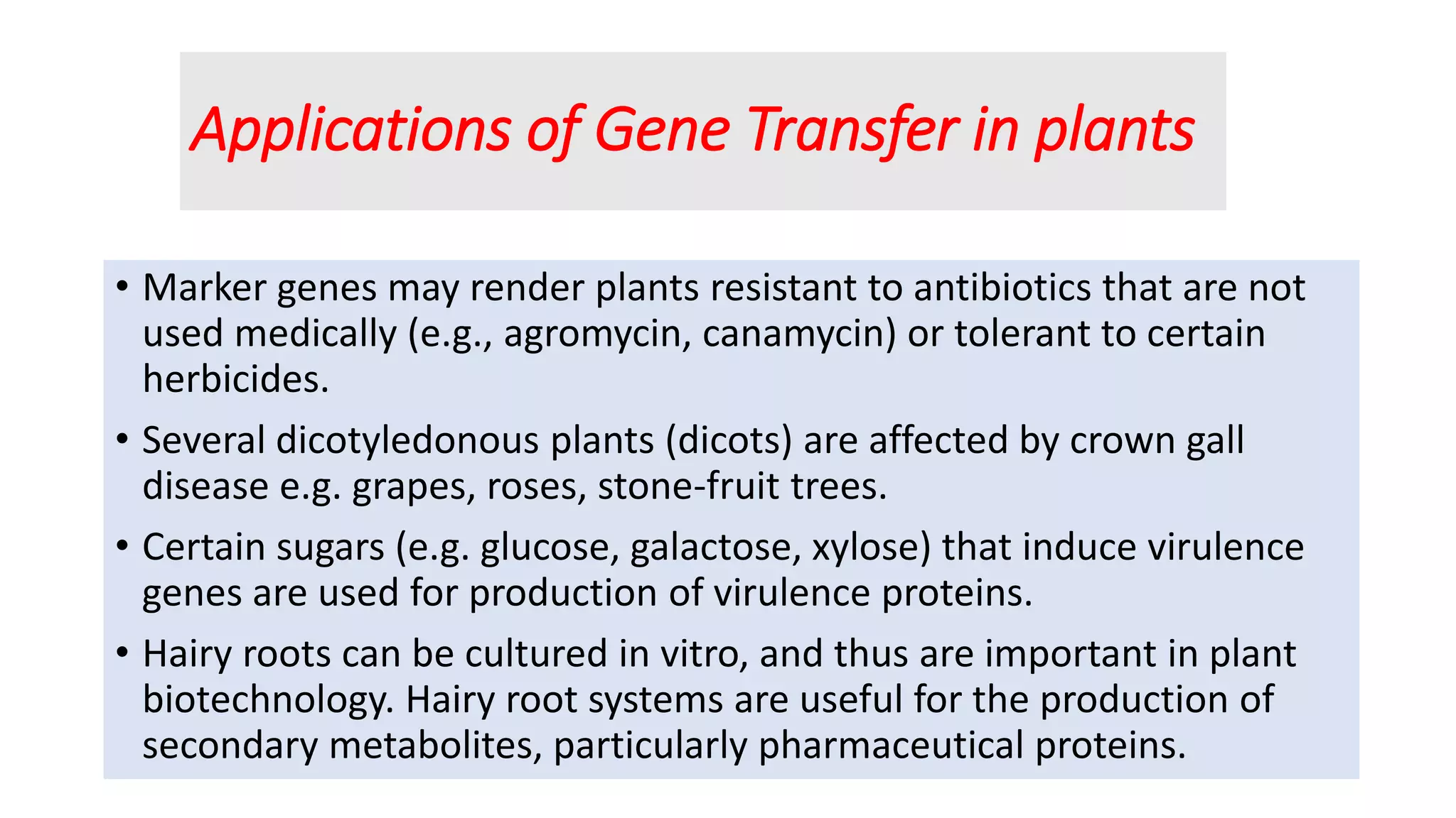 Gene transfer in plants | PPTX