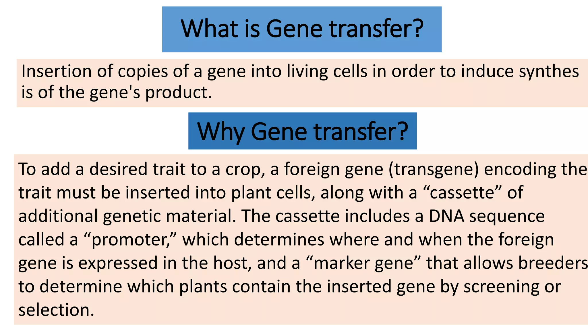 Gene transfer in plants | PPTX