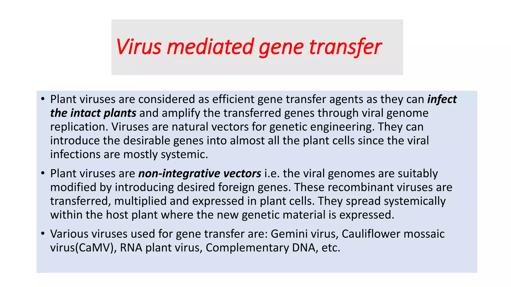 Gene transfer in plants | PPTX