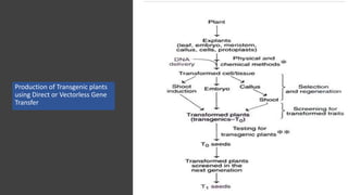Gene transfer in plants | PPTX