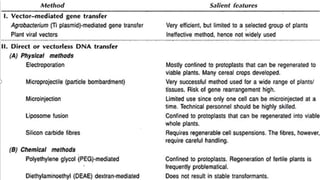 Gene transfer in plants | PPTX