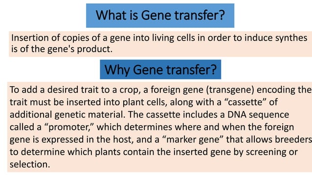 Gene transfer in plants | PPTX | Biological Sciences | Science
