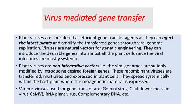 Gene transfer in plants | PPTX | Biological Sciences | Science