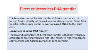 Gene transfer in plants | PPTX