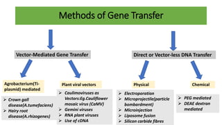 Gene transfer in plants | PPT