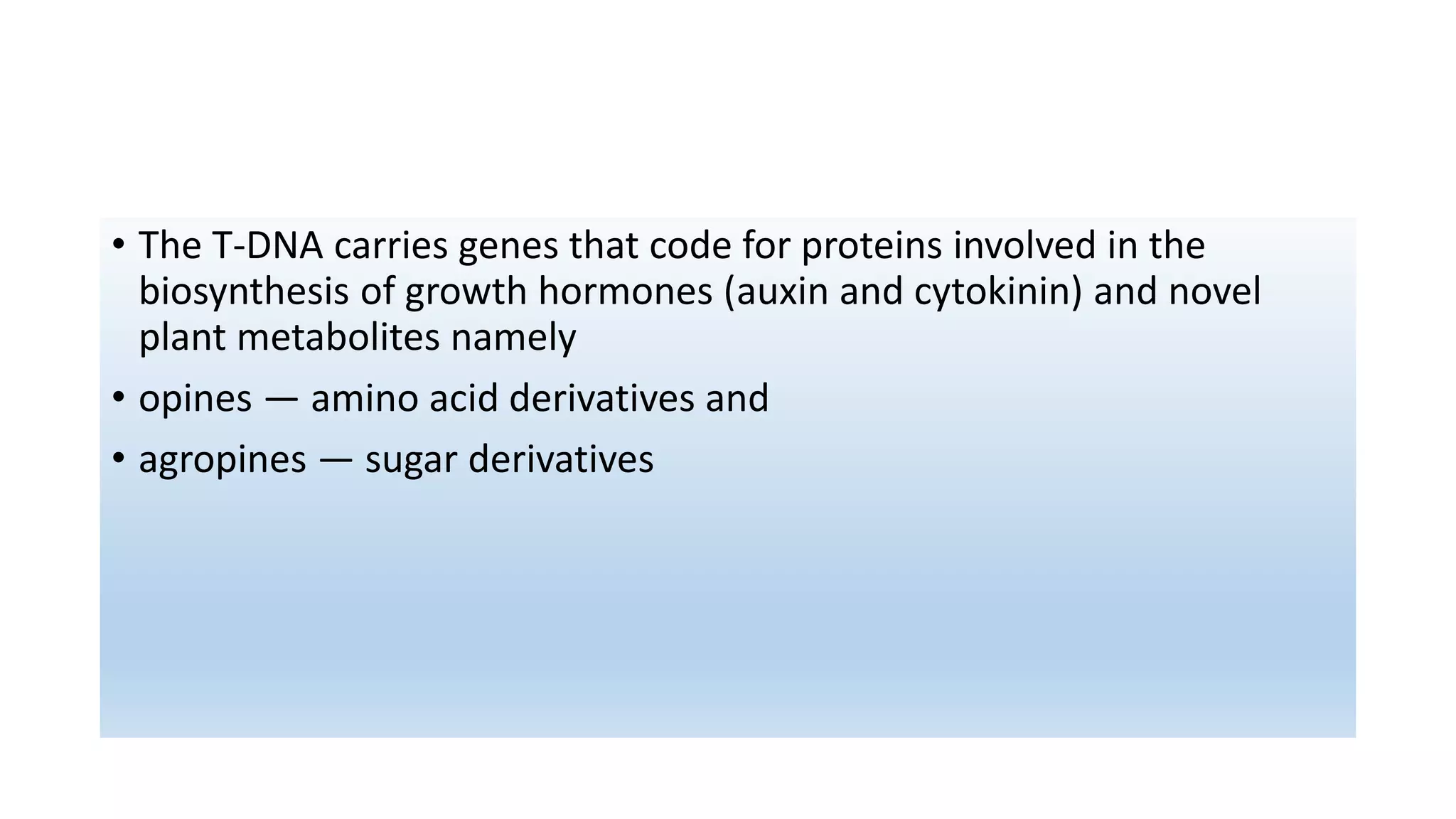 Gene transfer in plants | PPTX